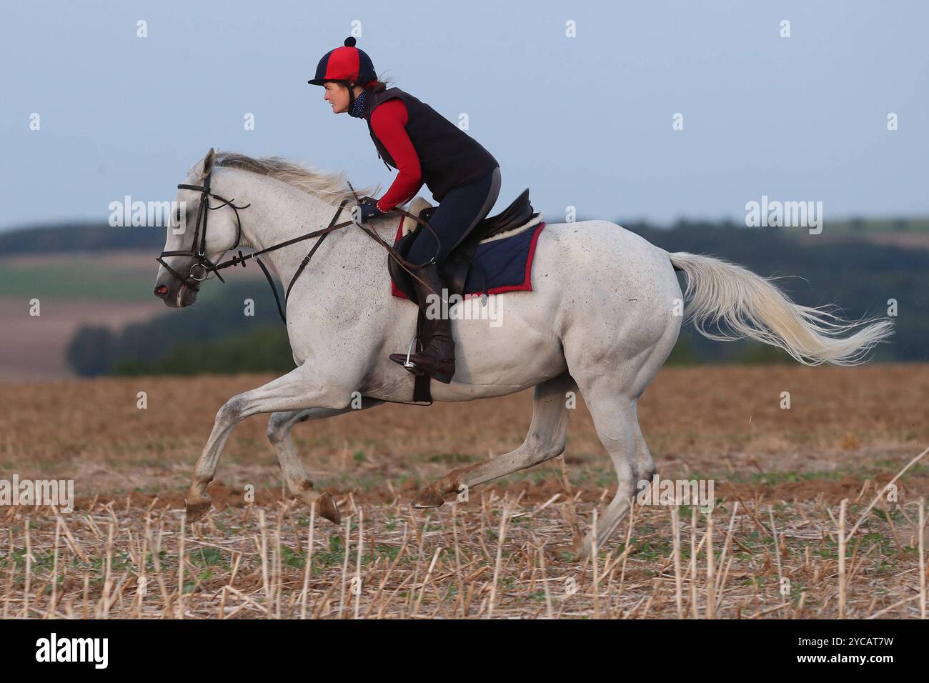 240822d083westerberg hi-res stock photography and images - Alamy