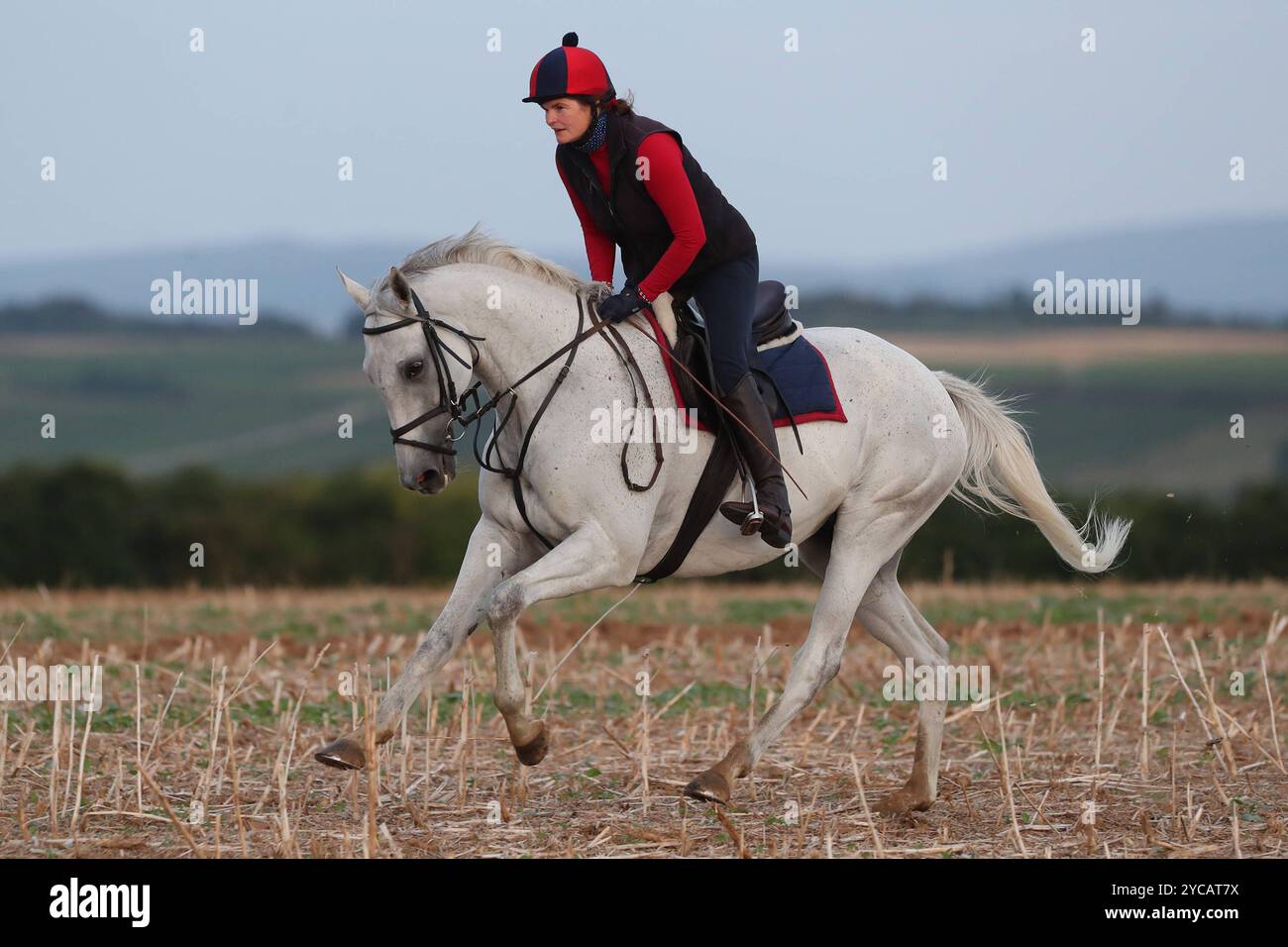 240822d062westerberg hi-res stock photography and images - Alamy