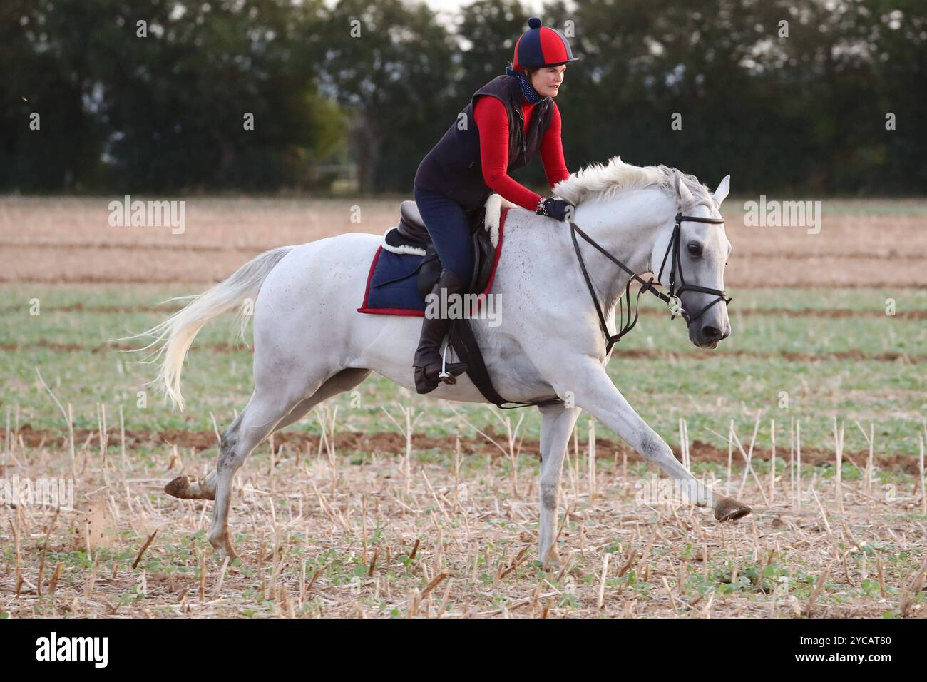 240822d086westerberg hi-res stock photography and images - Alamy