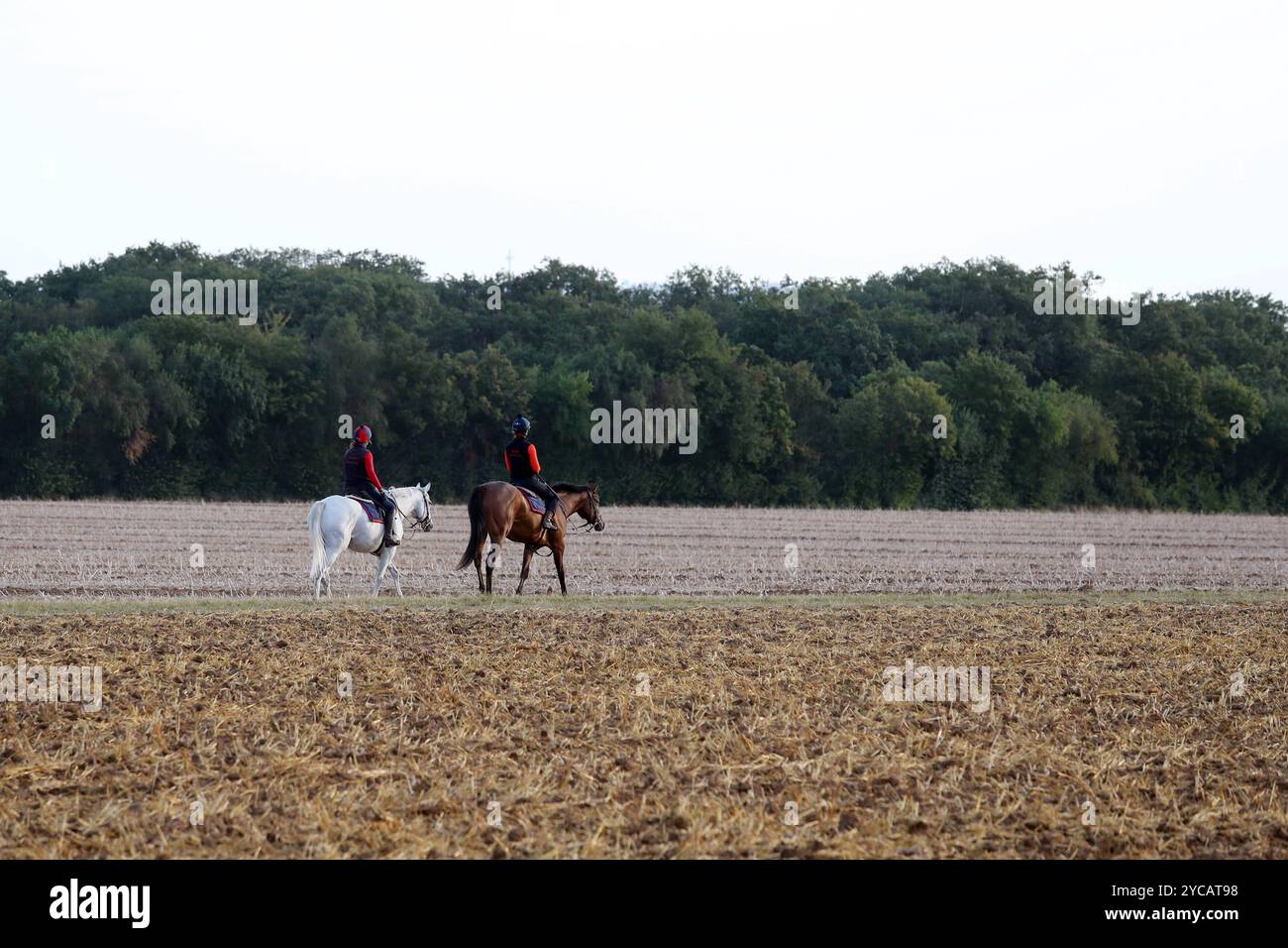 240822d139westerberg hi-res stock photography and images - Alamy