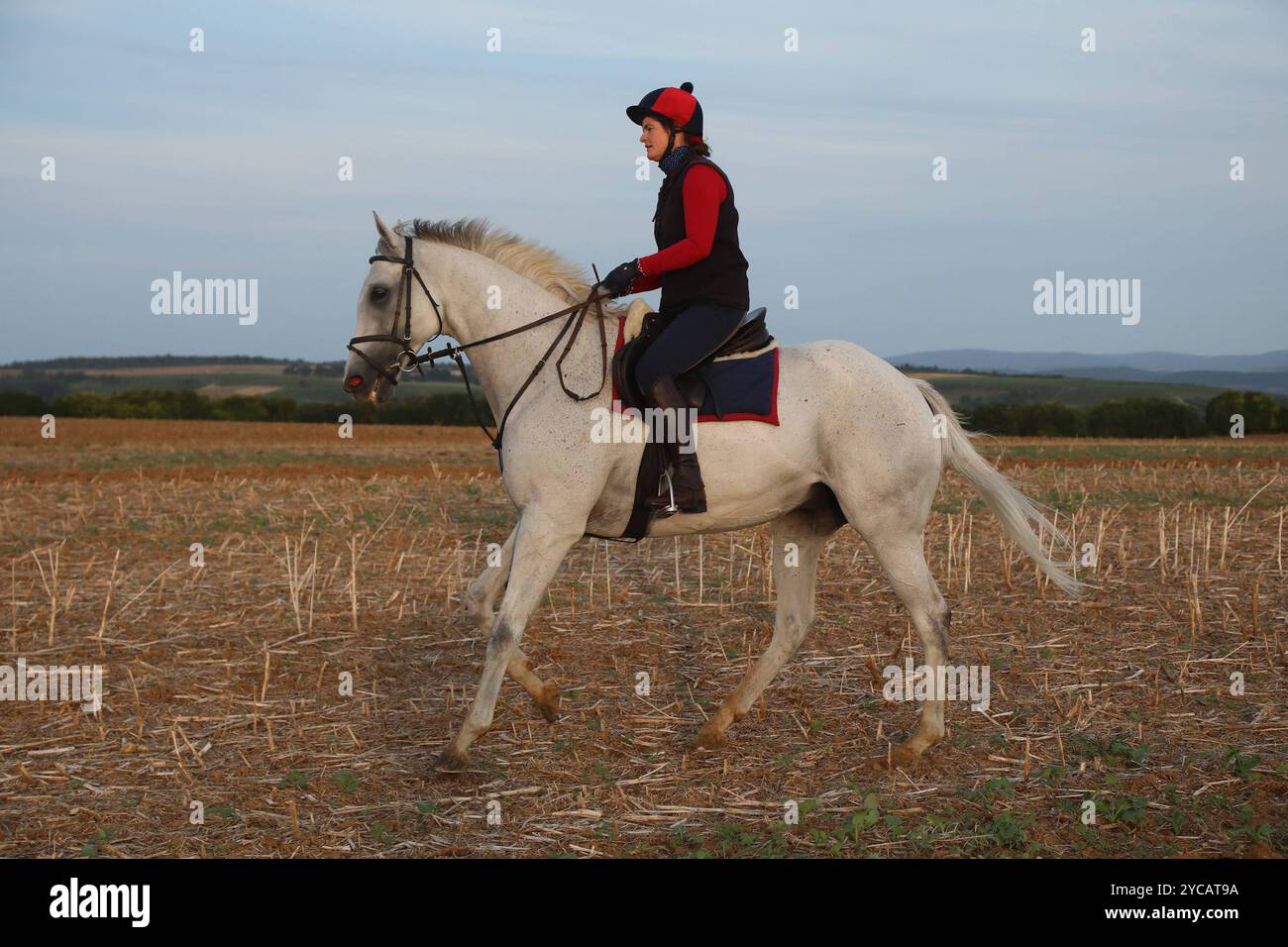 240822d127westerberg hi-res stock photography and images - Alamy