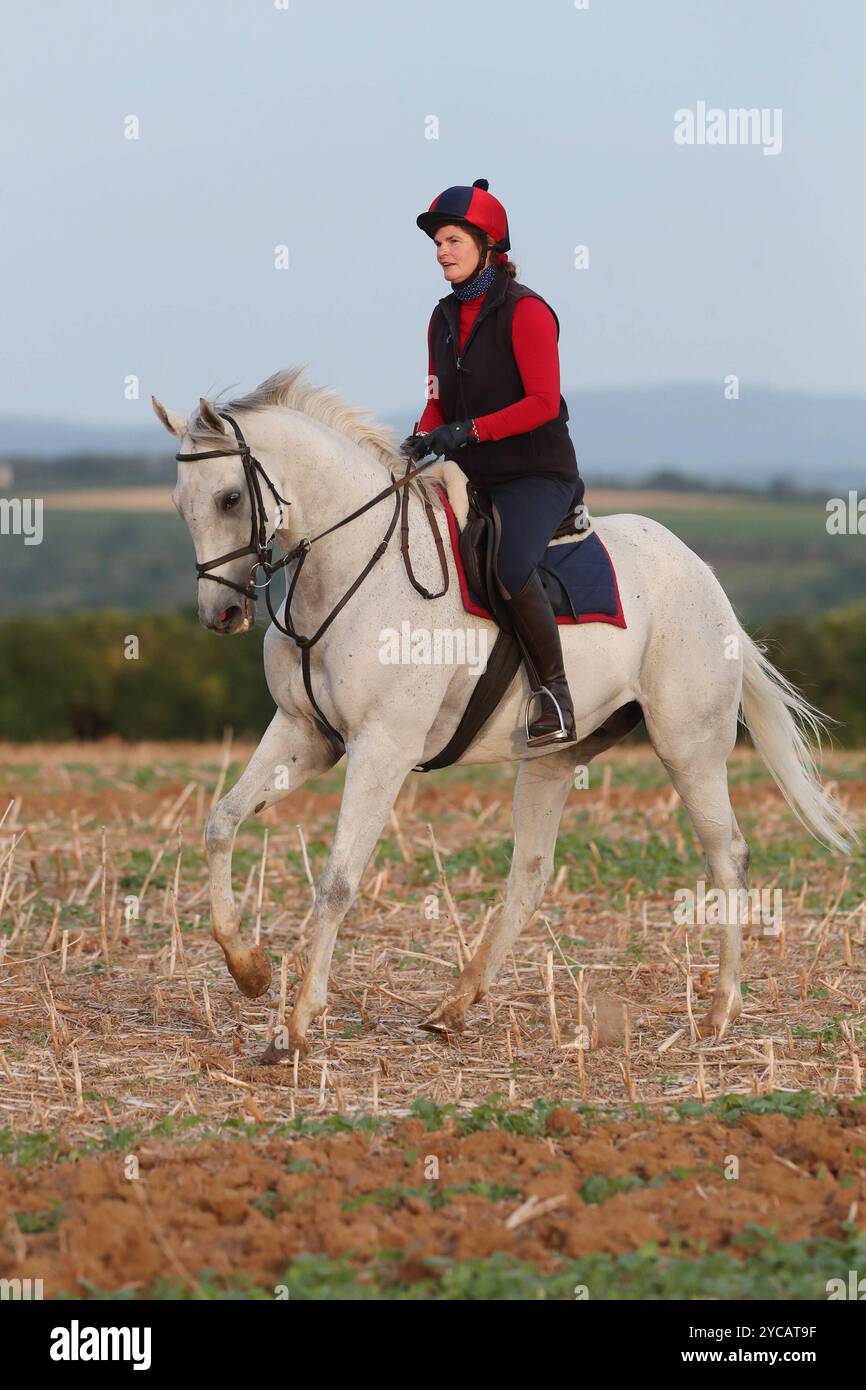 240822d118westerberg hi-res stock photography and images - Alamy