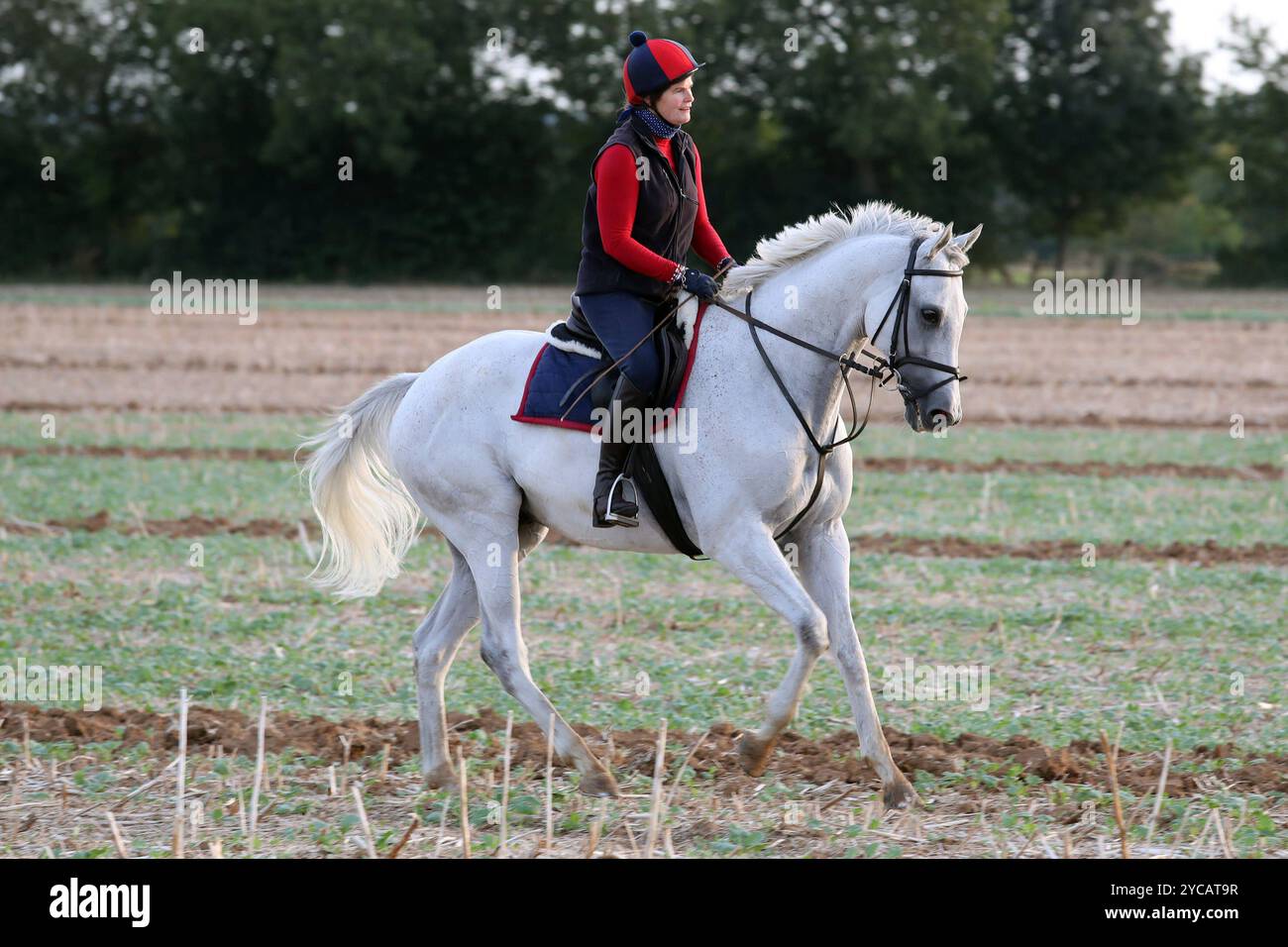 240822d120westerberg hi-res stock photography and images - Alamy