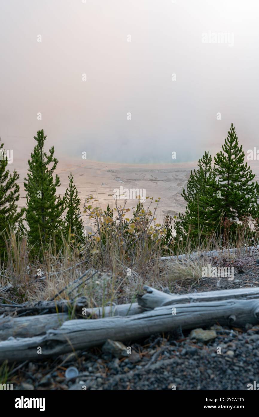 A view of the Grand Prismatic Spring from the overlook on a steamy ...