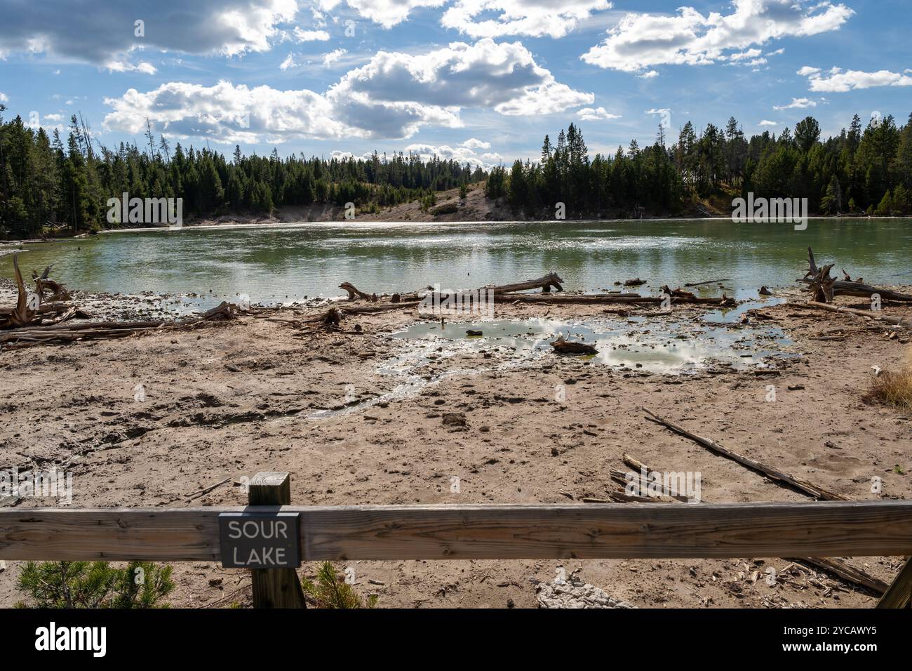 A view of hot springs in the Mud Volcano area of Yellowstone National ...