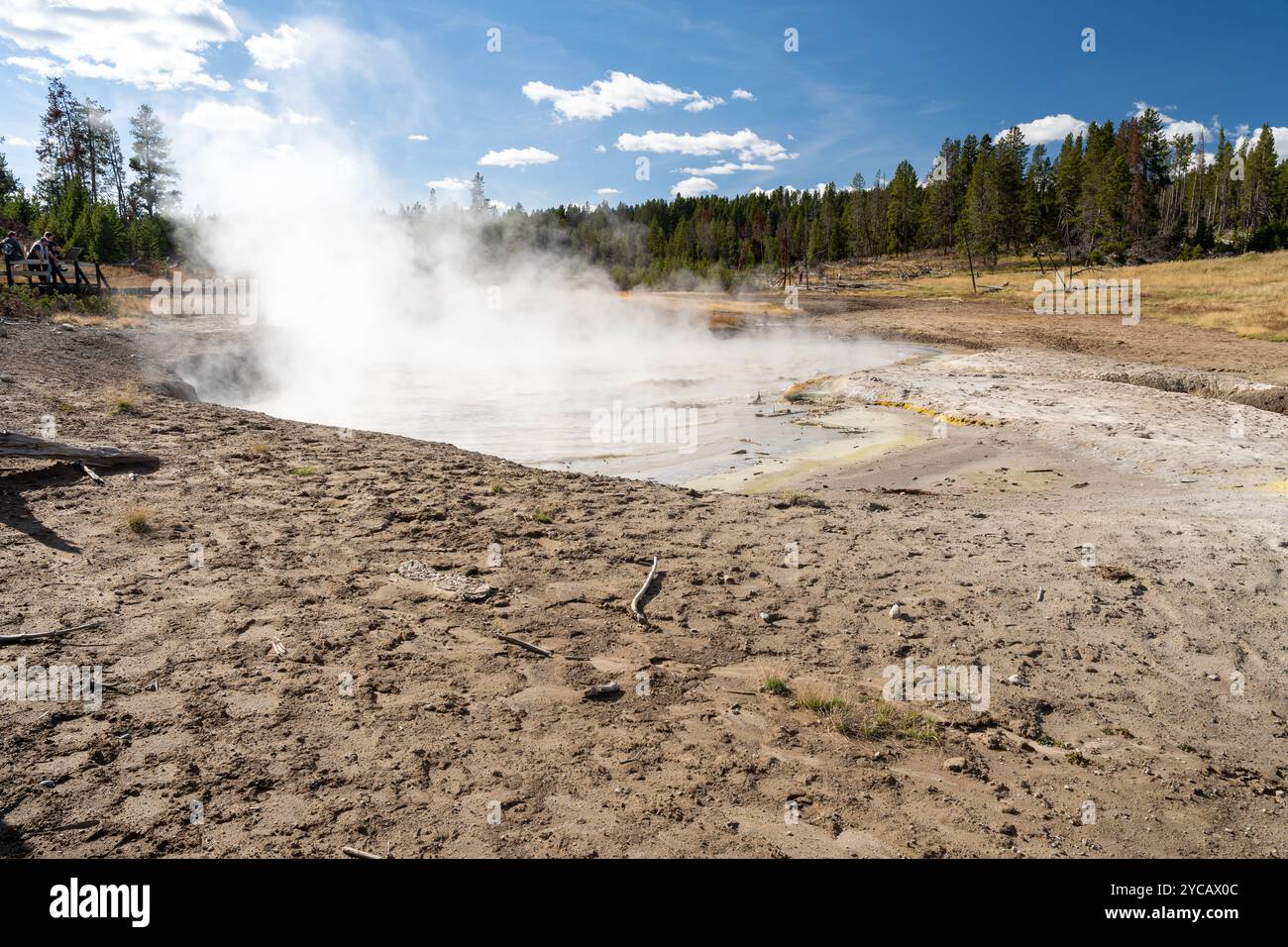 A view of hot springs in the Mud Volcano area of Yellowstone National ...