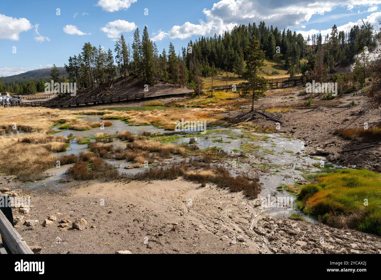A view of hot springs in the Mud Volcano area of Yellowstone National ...