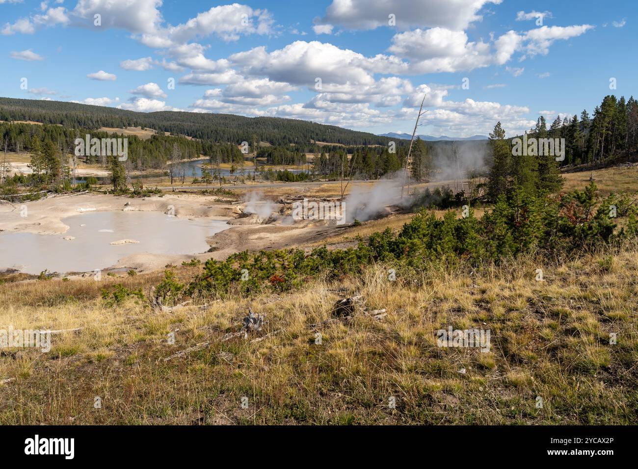 A view of hot springs in the Mud Volcano area of Yellowstone National ...
