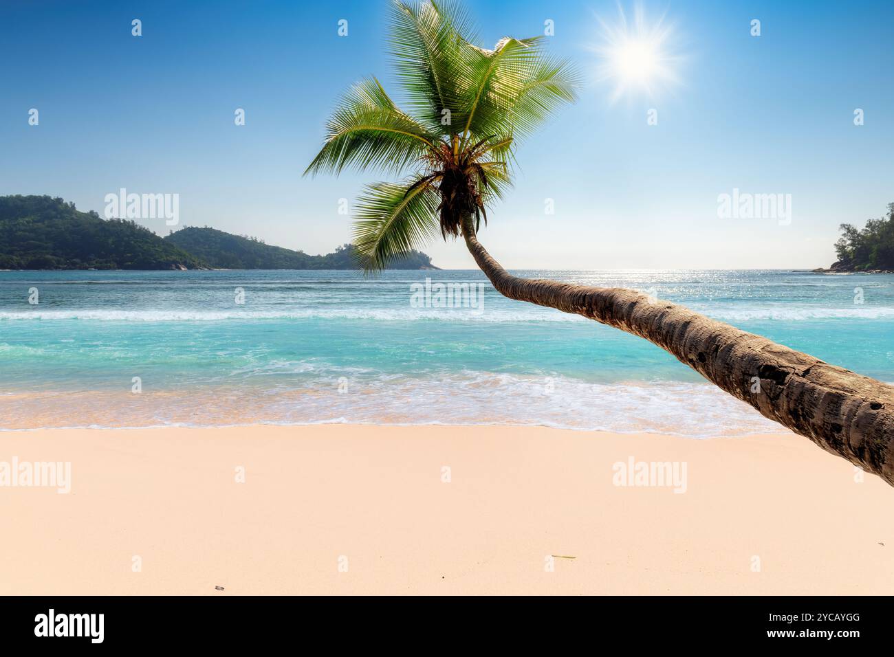 Palm trees sunset tropical hi-res stock photography and images - Alamy