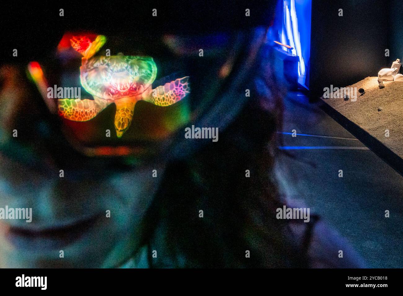 London, UK. 22nd Oct, 2024. A visitor watches a sea turtle swim in its ...