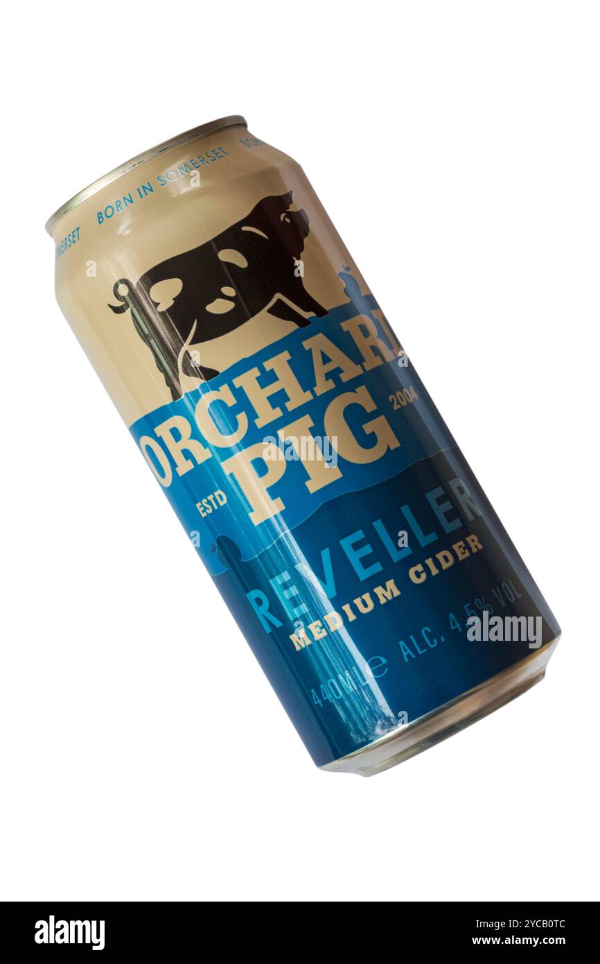 Can of Orchard Pig Reveller medium cider born in Somerset isolated on ...