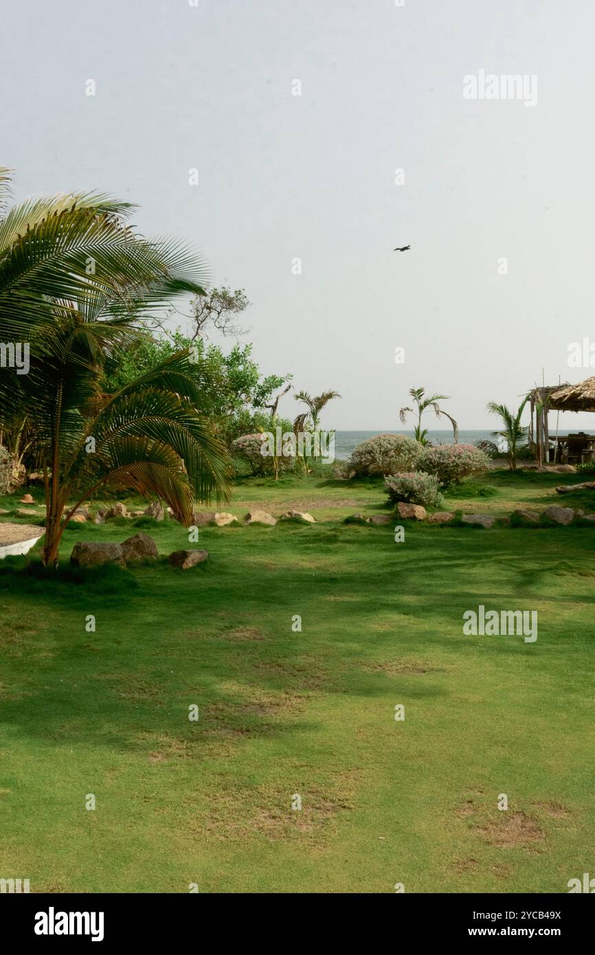 A peaceful coastal scene on a bright day featuring a lush, green lawn ...