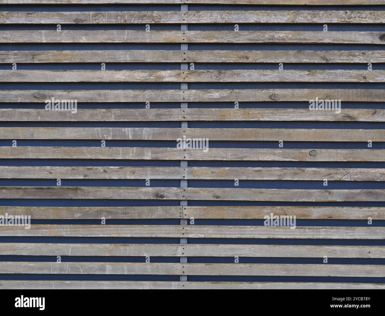 Wooden fence with a green plant in the middle. Background and texture ...