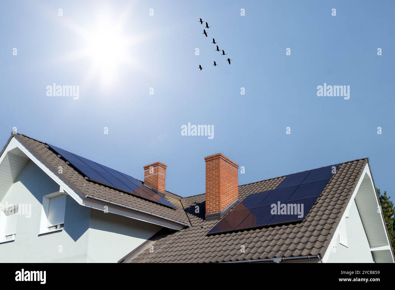 Modern House with Solar Panels and Flying Birds Stock Photo - Alamy