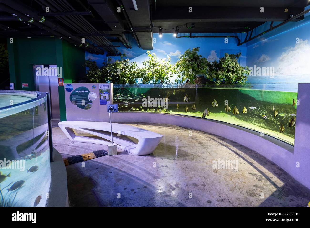 Exhibition room, aquarium, Odysseo Oceanarium Mauritius, show aquarium ...