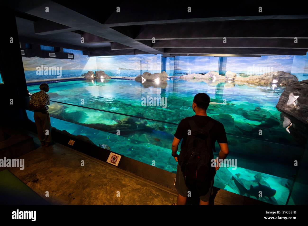 Exhibition room, aquarium, Odysseo Oceanarium Mauritius, show aquarium ...