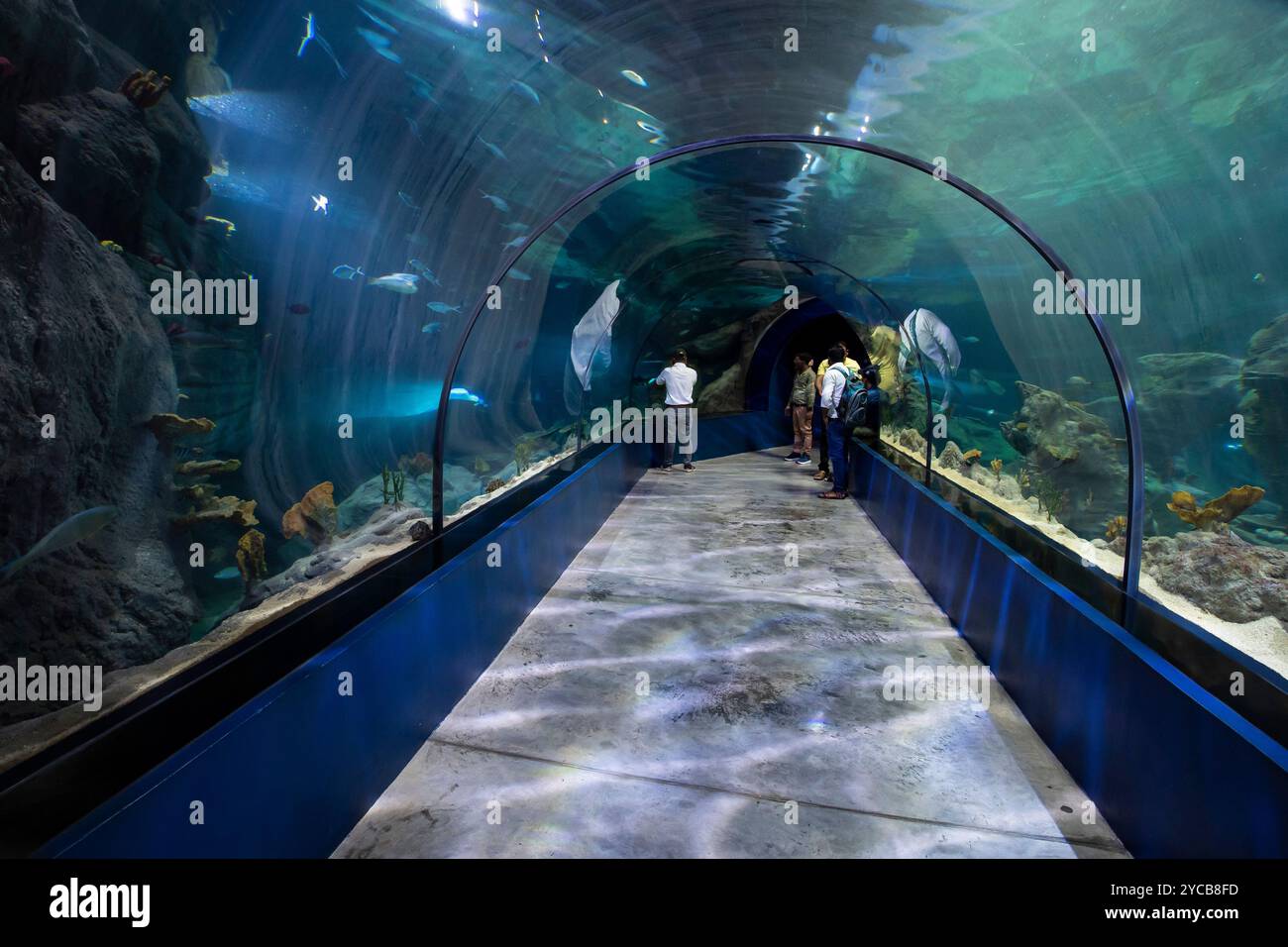 Exhibition room, aquarium, Odysseo Oceanarium Mauritius, show aquarium ...
