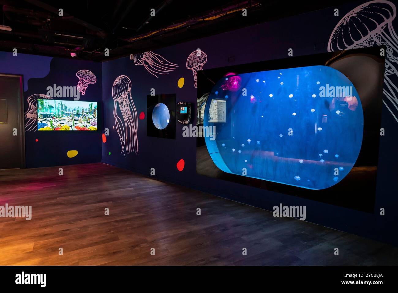 Exhibition room, aquarium, Odysseo Oceanarium Mauritius, show aquarium ...