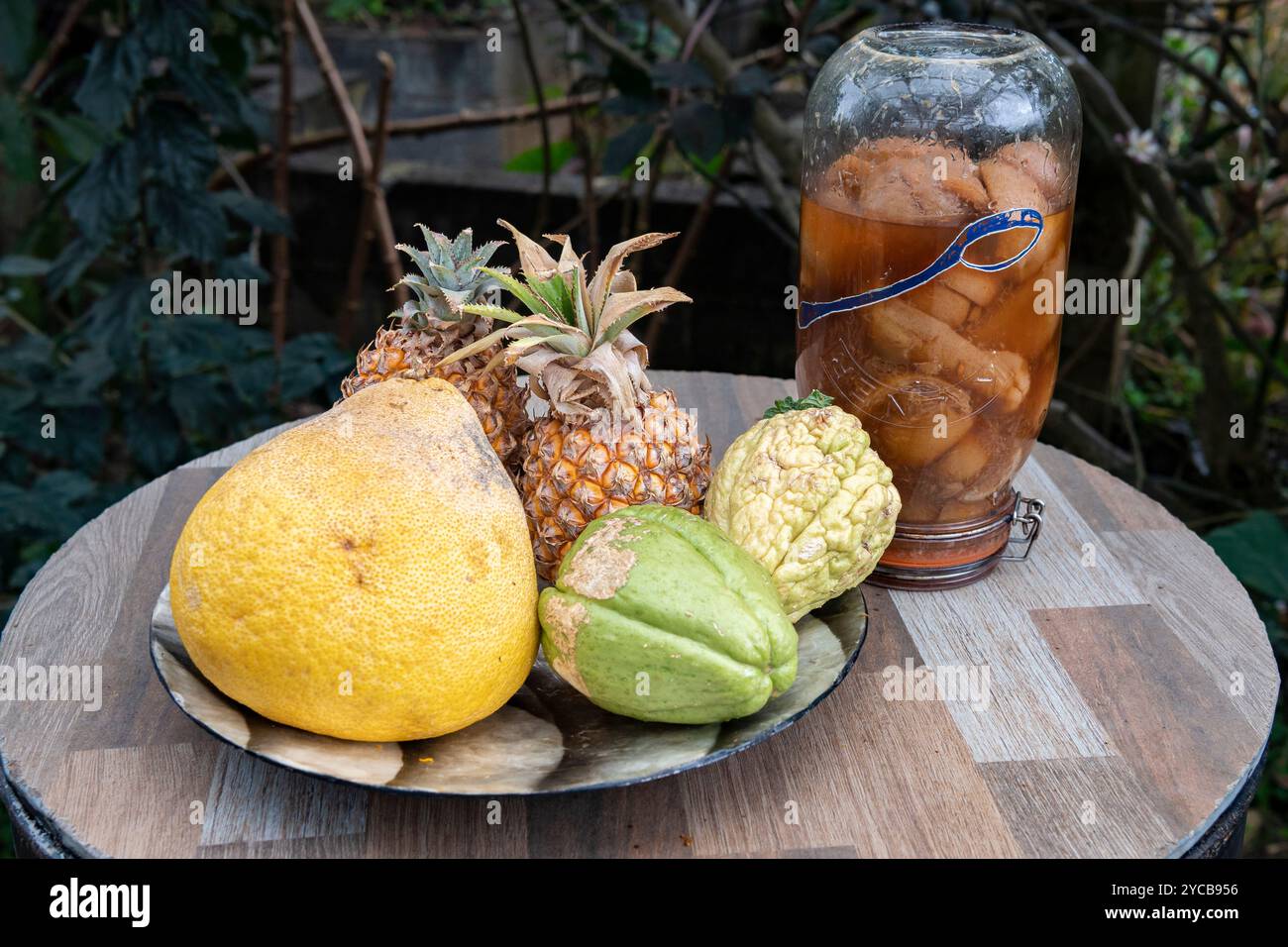 tropical fruits, pineapple, grapefruit, papaya, alcoholic fermentation ...