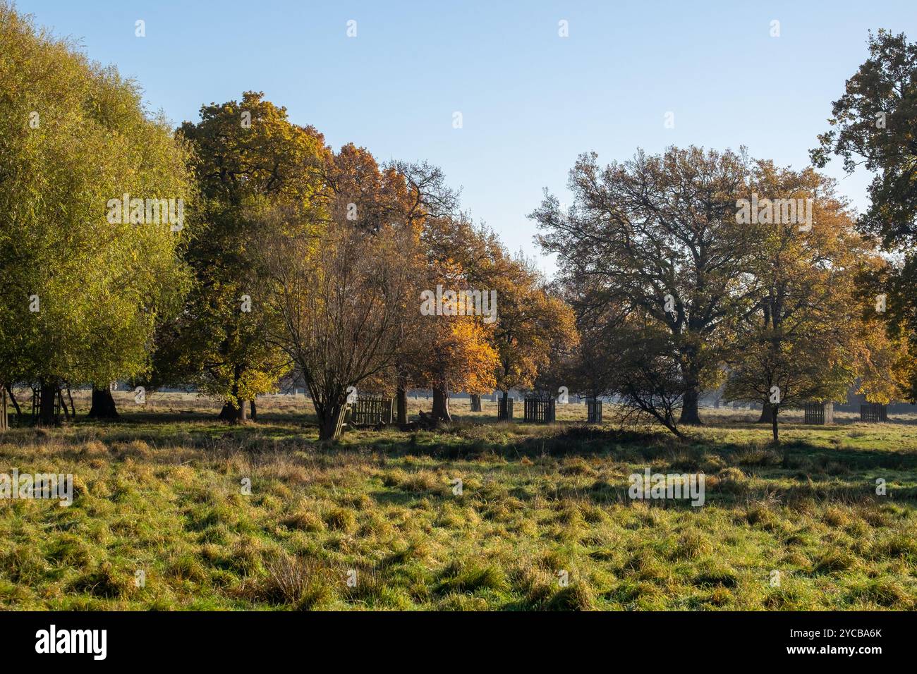 autumn in nature Stock Photo - Alamy
