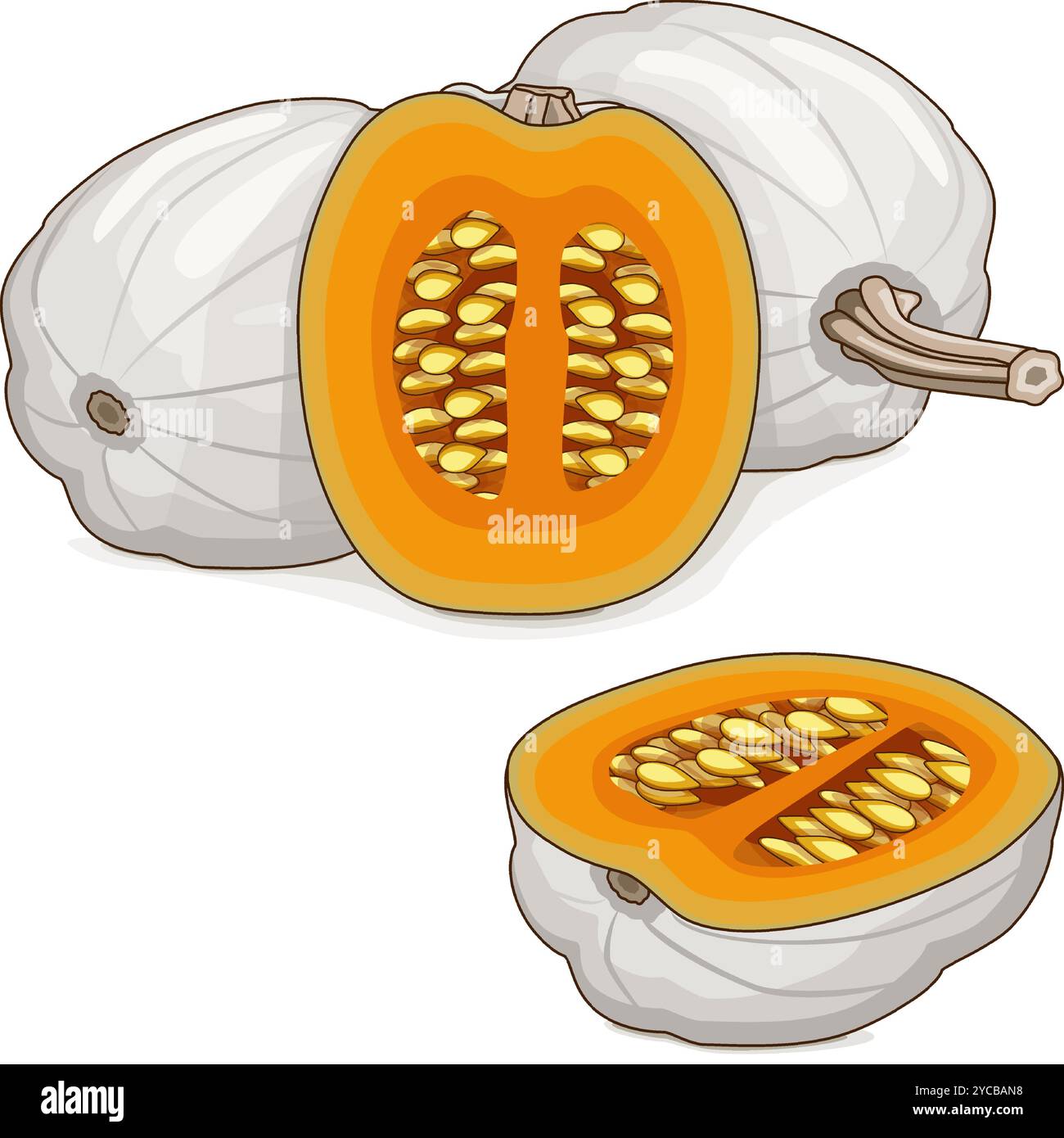 Whole and chopped Full Moon pumpkin. Winter squash. Cucurbita maxima ...