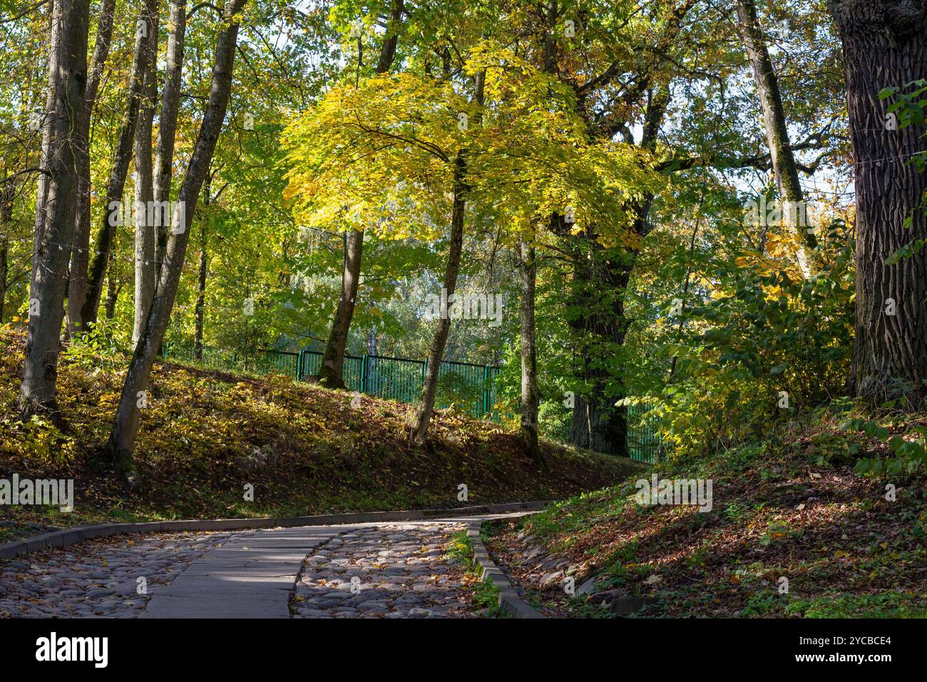 Relaxating in the park hi-res stock photography and images - Alamy