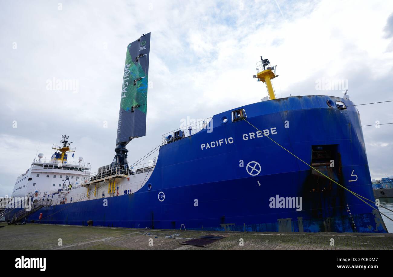 A FastRig test sail developed by Smart Green Shipping, after being ...