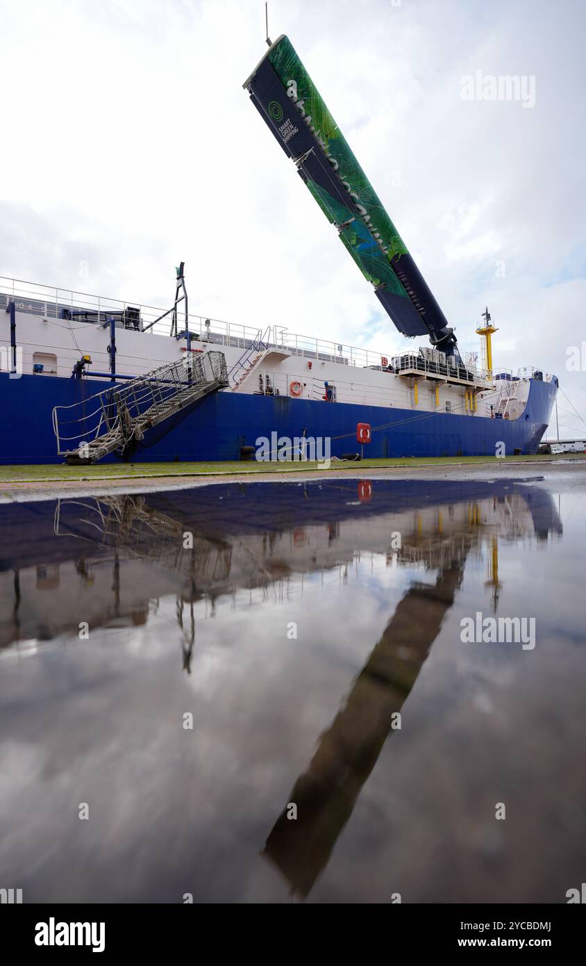 Grebe ampics hi-res stock photography and images - Alamy
