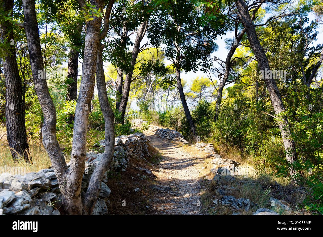 Split trail hi-res stock photography and images - Alamy