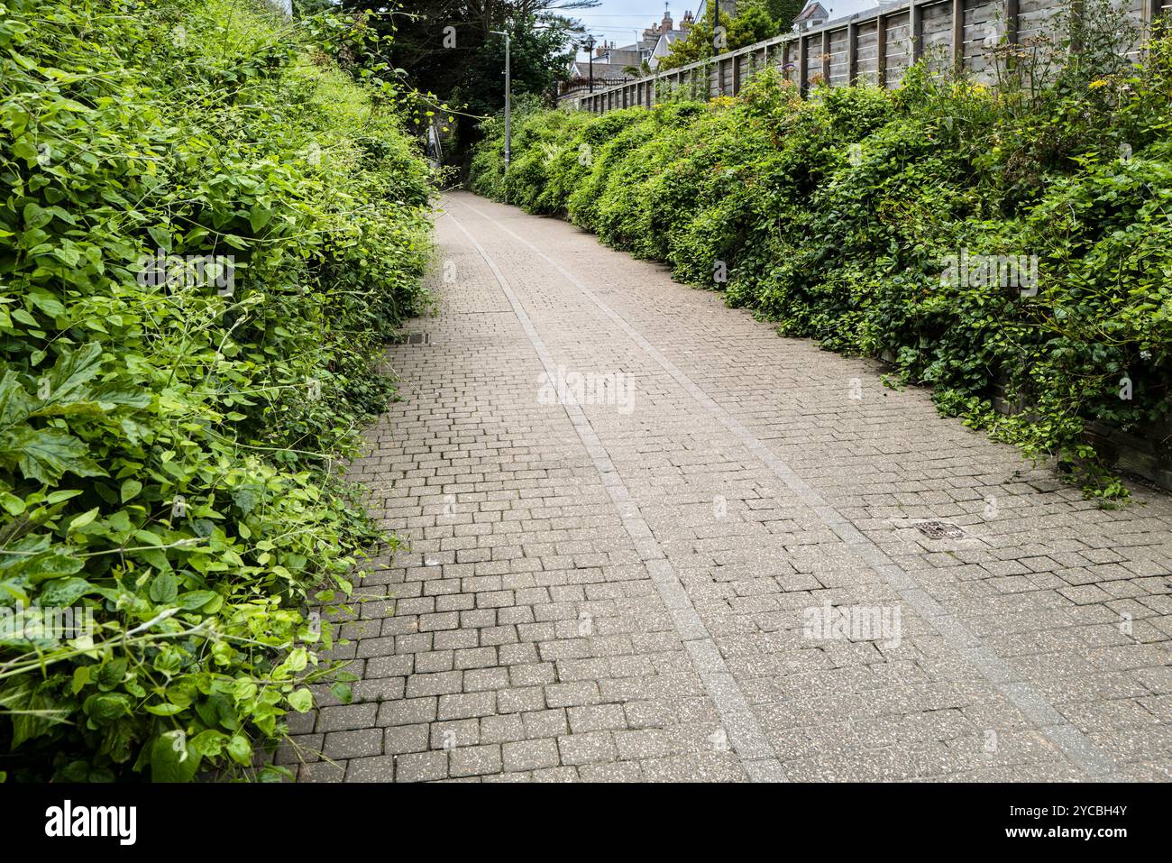 Mineral railway cornwall hi-res stock photography and images - Alamy