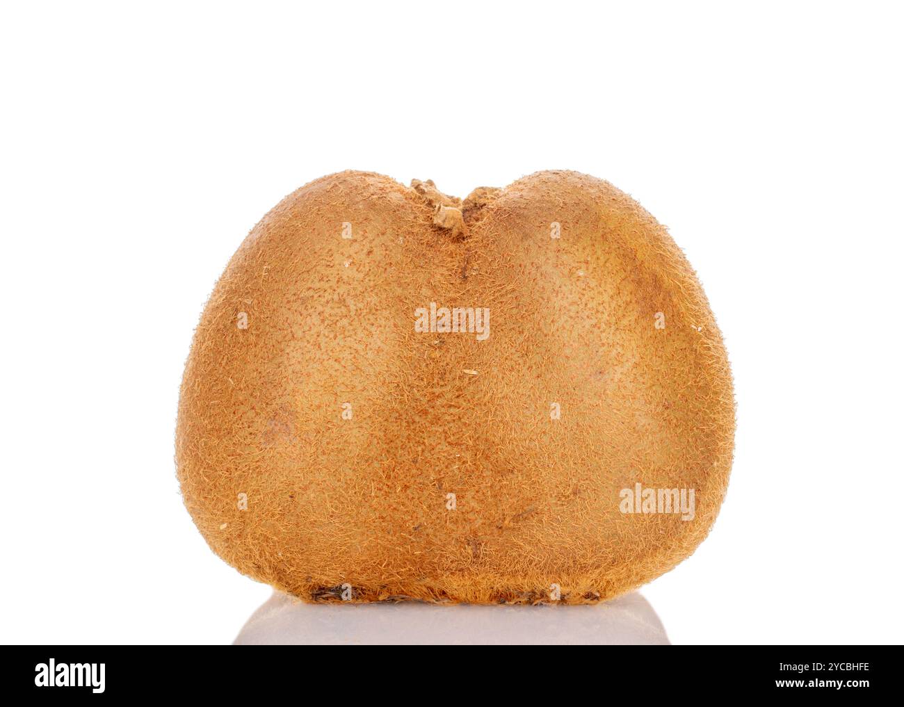 Golden red green kiwi hi-res stock photography and images - Alamy