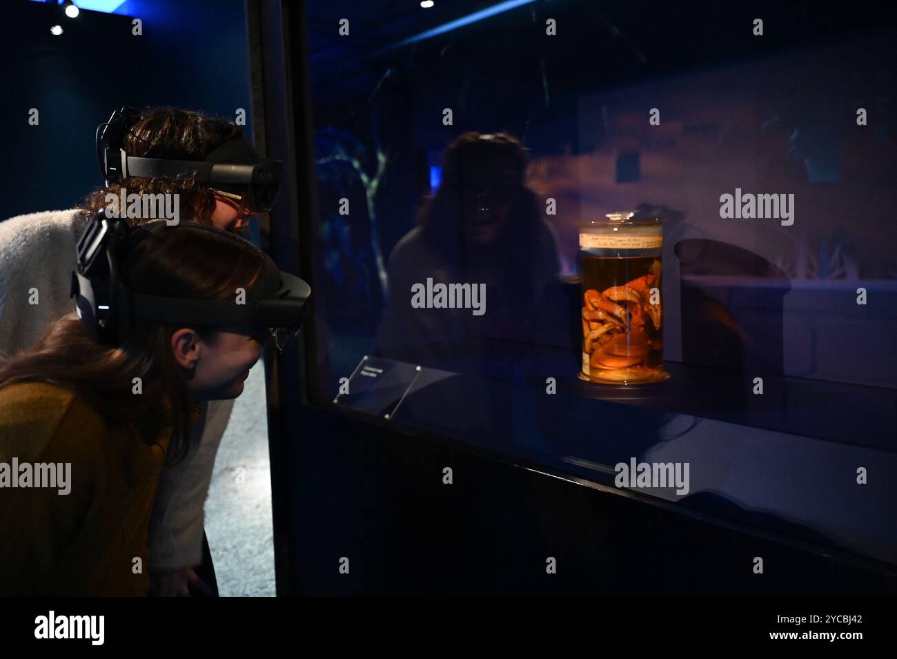 Visions of Nature is a new mixed reality experience hosted at the ...