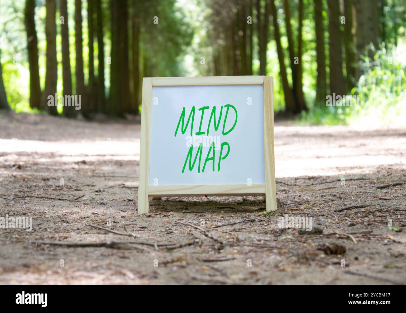Mind Map symbol. Concept word Mind Map on white chalk background ...