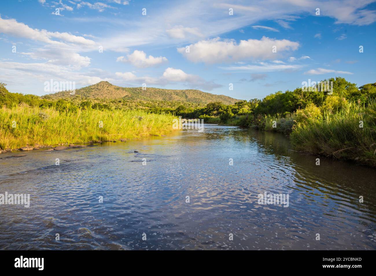 River flowing through green landscape in Hluhluwe-iMfolozi Park, South ...