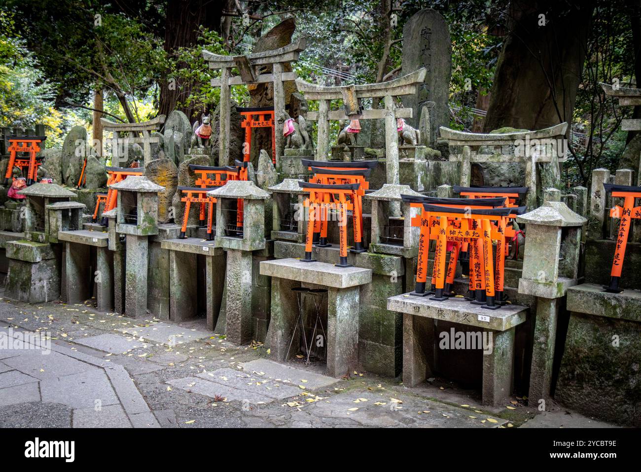 Small torii gates at fushimi inari shrine in kyoto, japan Stock Photo ...