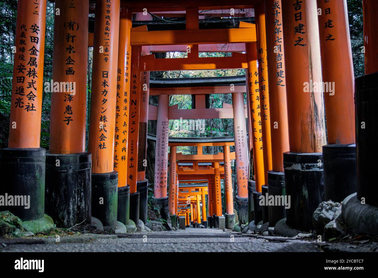 Low angle view torii gates fushimi inari shrine in kyoto, japan Stock ...