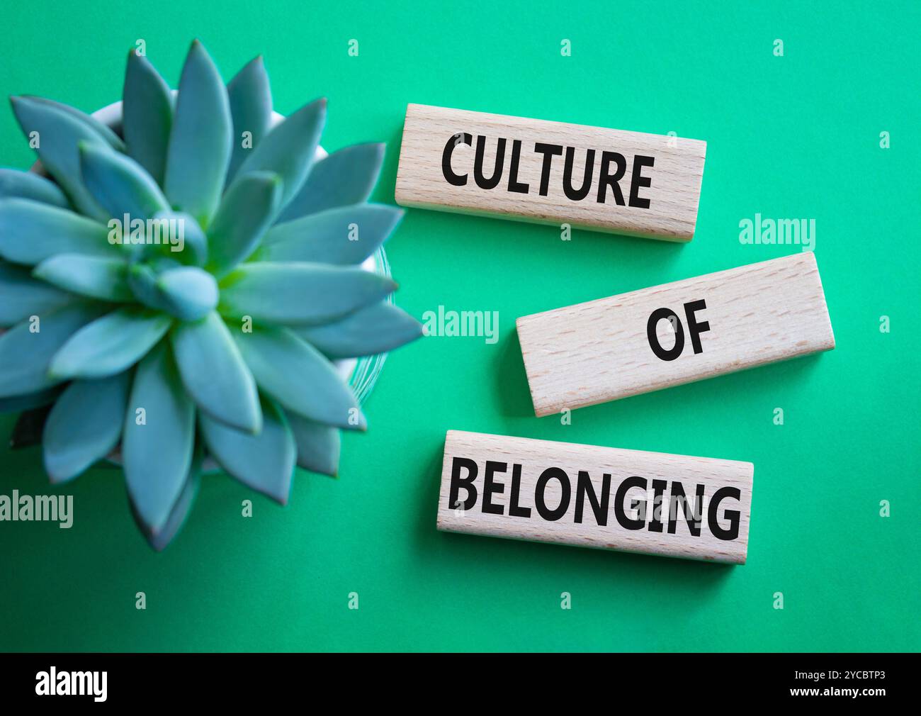 Culture of Belonging symbol. Wooden blocks with words Culture of ...