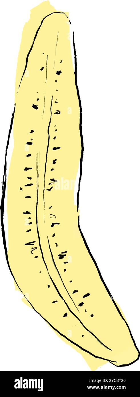 Banana cut isolated vector illustration. Graphic peel bananas, yellow ...