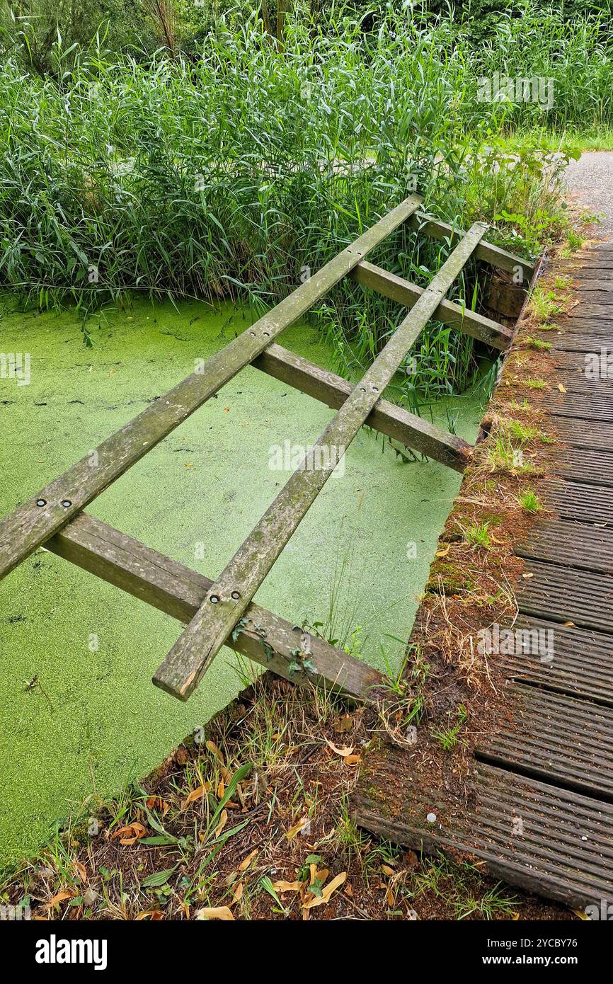 Railing of the bridge hi-res stock photography and images - Alamy