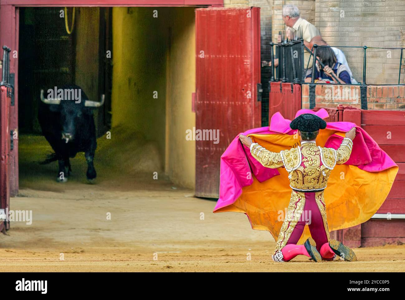 A dramatic scene in a Spanish bullring where a bullfighter kneels ...