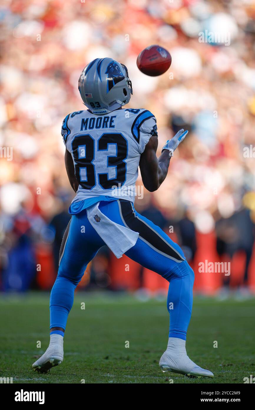 David moore panthers hi-res stock photography and images - Alamy