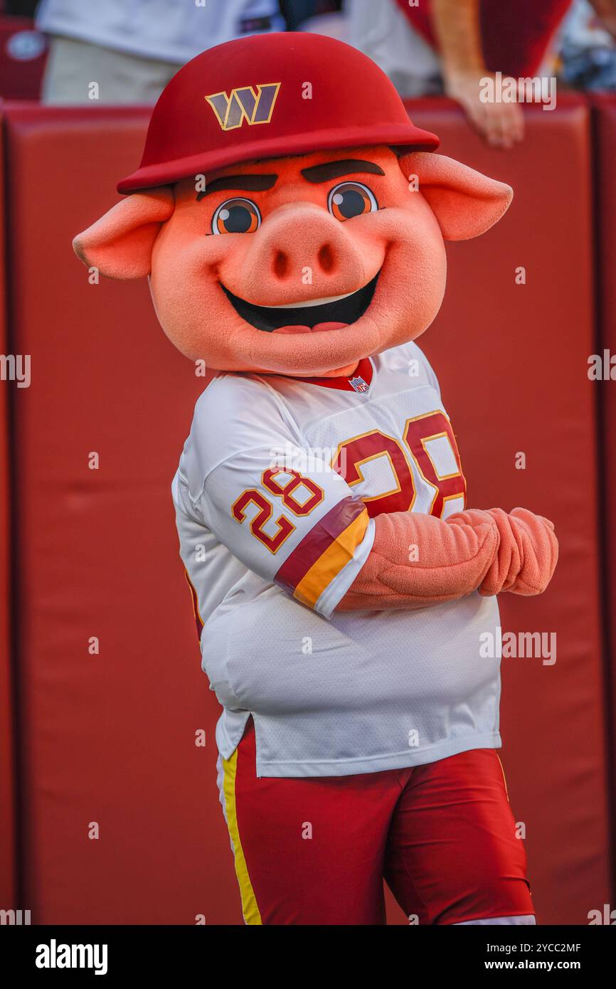 Major tuddy hi-res stock photography and images - Alamy