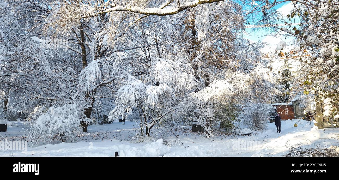 Winter view of famous Old North Cemetery of Munich, Germany with ...