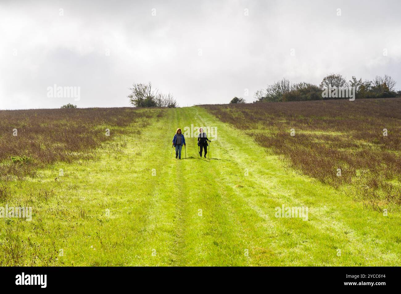 Two middle-aged women walk towards camera down a slope on a wide grassy ...