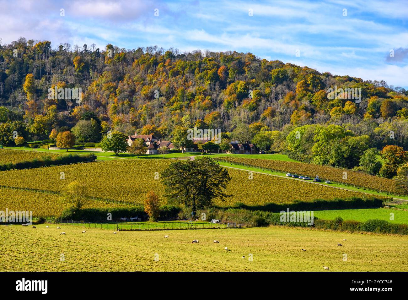 Coldharbour farm hi-res stock photography and images - Alamy