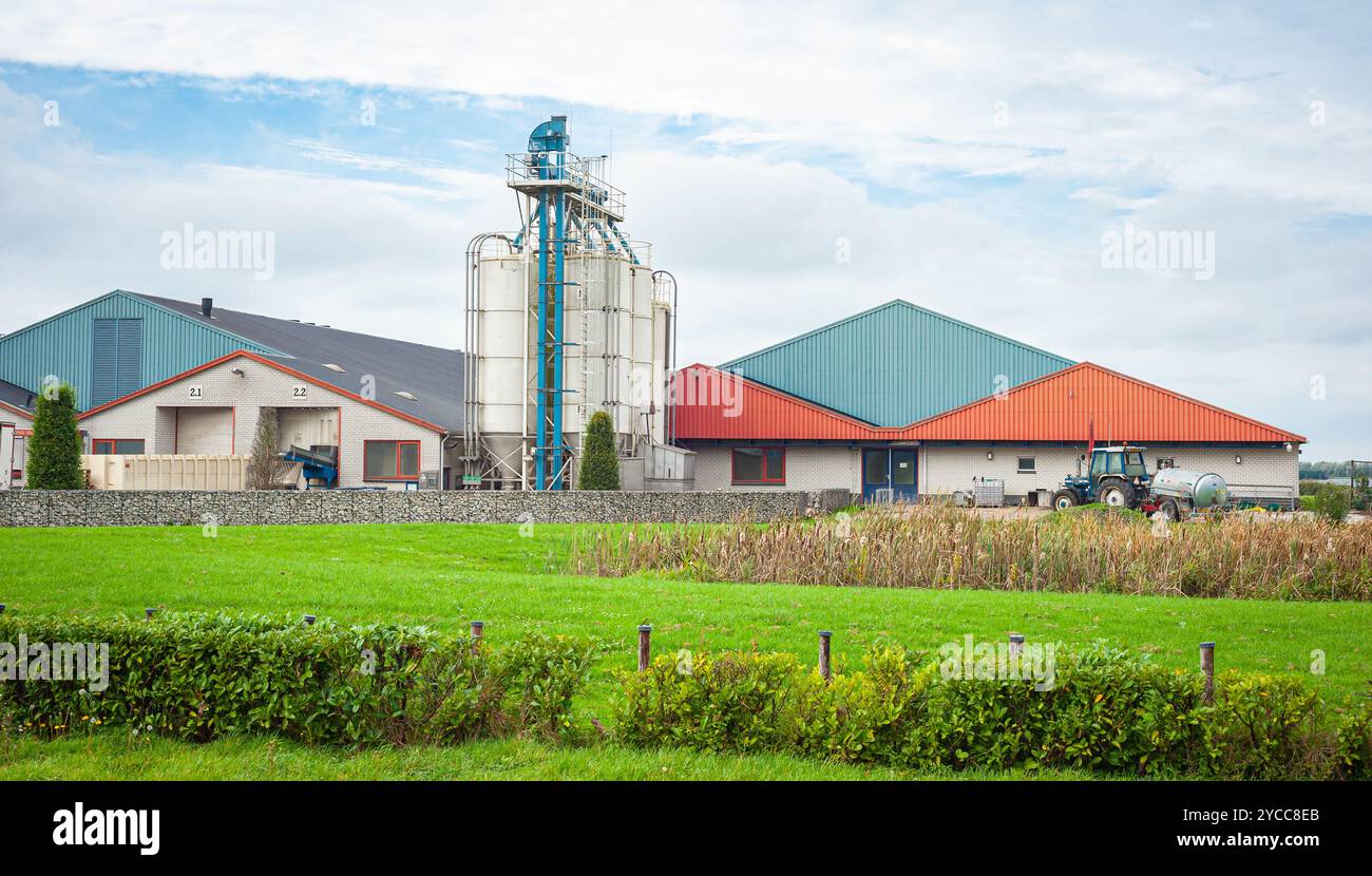Dairy farm in polder Zuidplas north of Rotterdam, The Netherlands. In ...