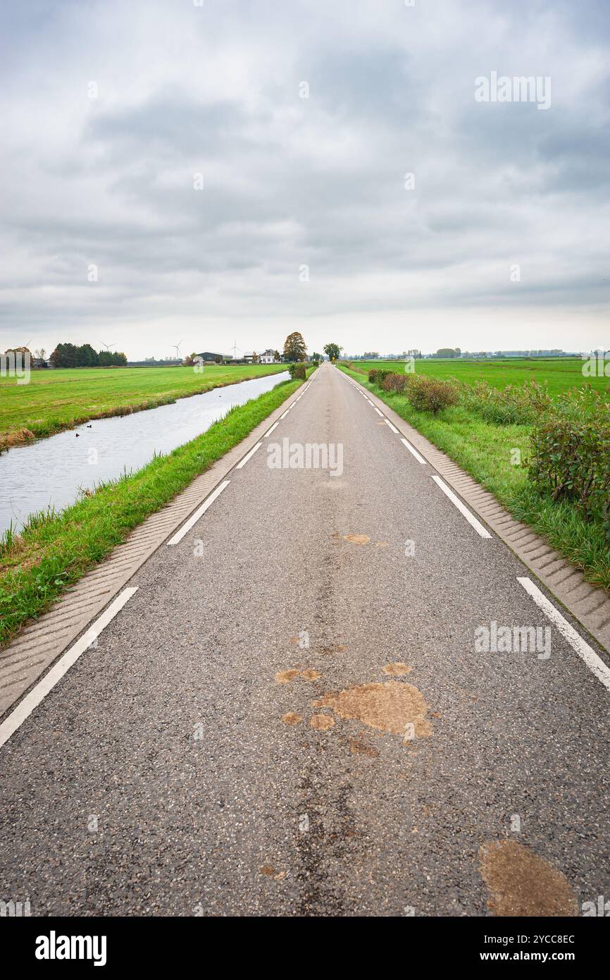 Country road in Zuidplaspolder, western Netherlands Stock Photo - Alamy