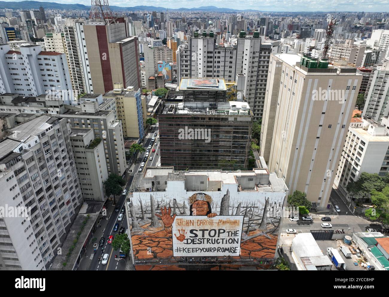 A mural by artist-activist Mundano depicting the drought in the Amazon ...
