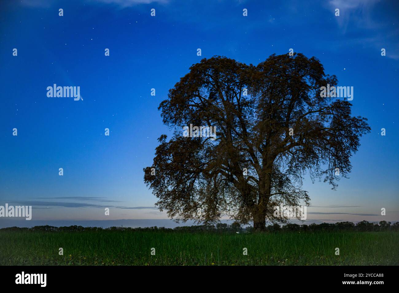 Lietzen, Germany. 16th Oct, 2024. The comet Tsuchinshan-Atlas can be ...