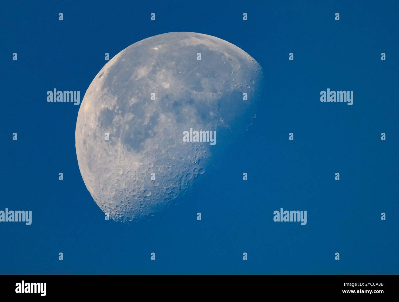 Lietzen, Germany. 22nd Oct, 2024. The waning moon can be seen in the ...